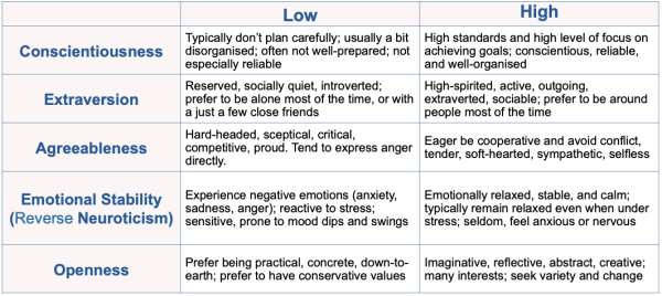 BIG FIVE Assessment – Performance Achievement System