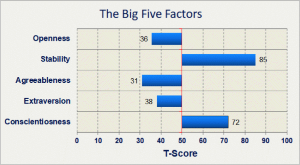 BIG FIVE Assessment – Performance Achievement System