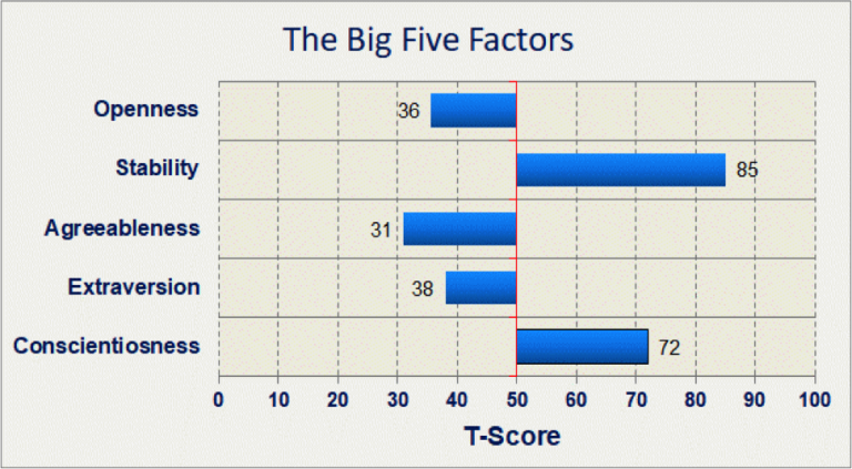 BIG FIVE Assessment – Performance Achievement System