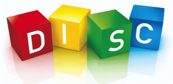 DISC Assessment – Performance Achievement System