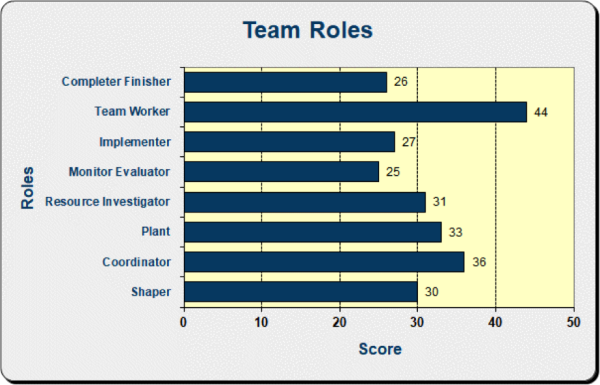 Team Members Roles Assessment – Performance Achievement System