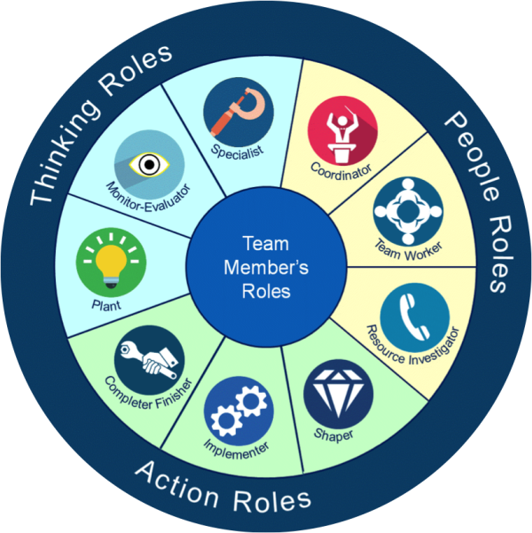 Team Members Roles Assessment – Performance Achievement System