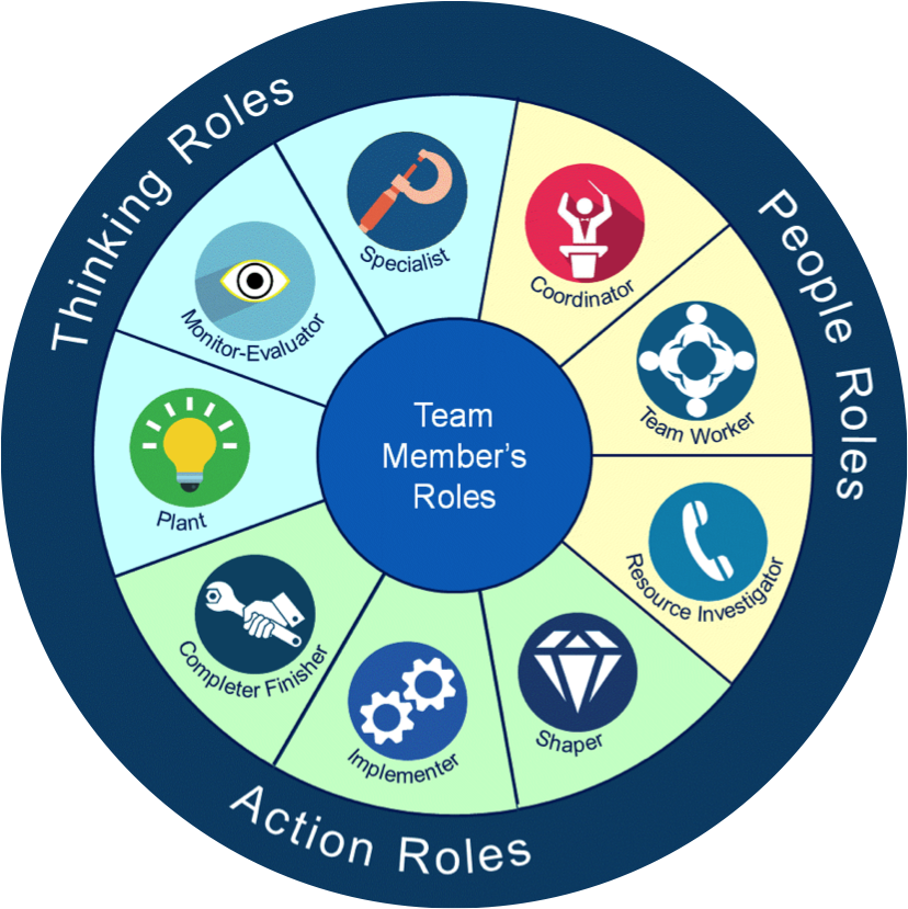 Team Members Roles Assessment – Performance Achievement System