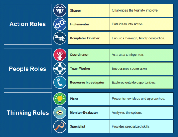 Team Members Roles Assessment – Performance Achievement System