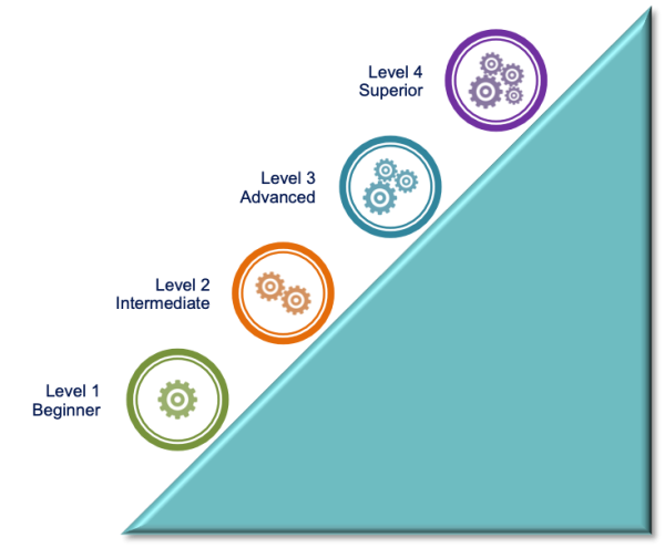 Competency-based Assessment – Performance Achievement System